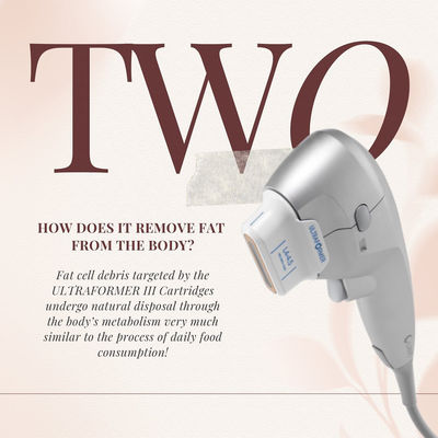 Dual Handle 7d Hifu Machine 110V - 240V High Intensity Focused ...